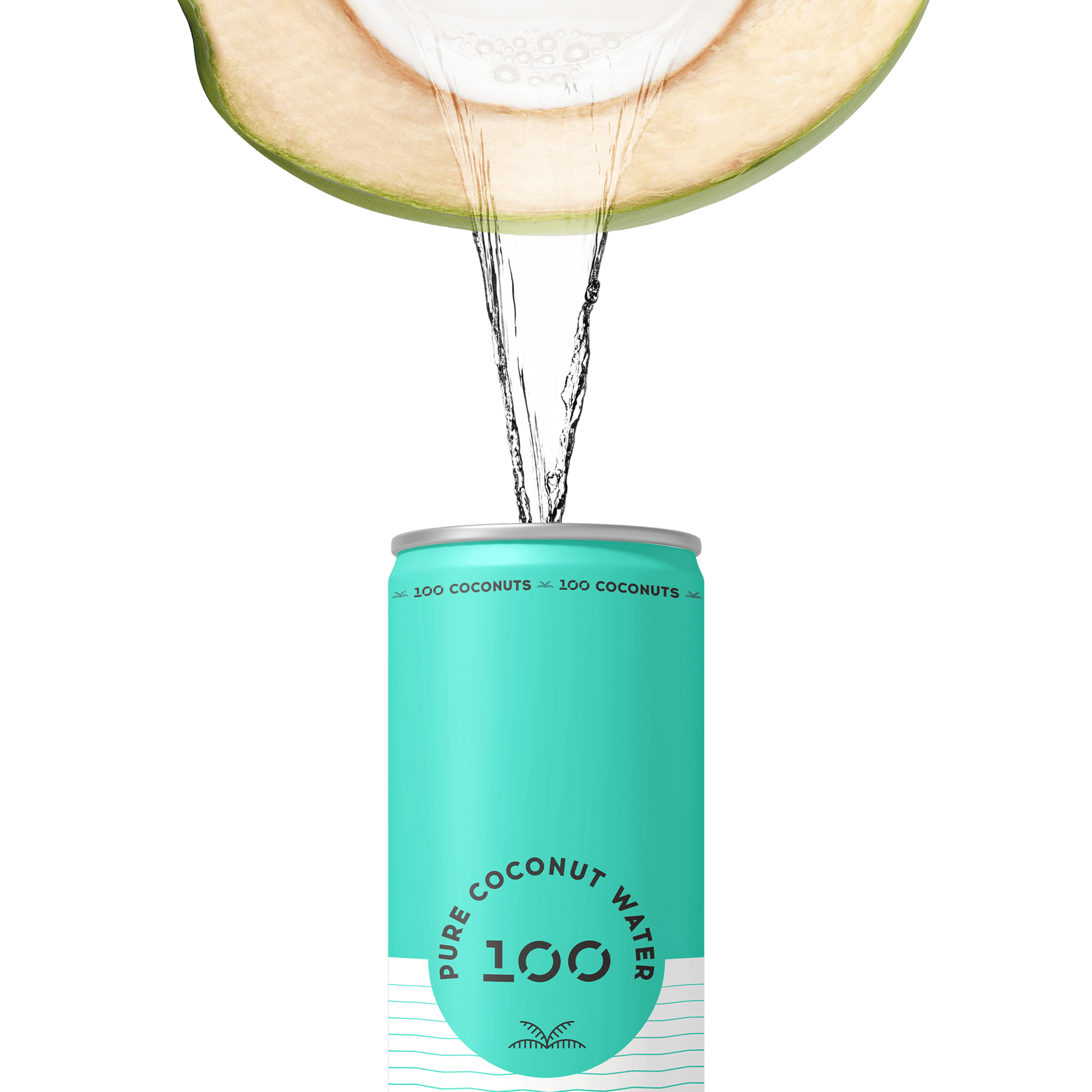 PURE COCONUT WATER 11oz – 100 Coconuts
