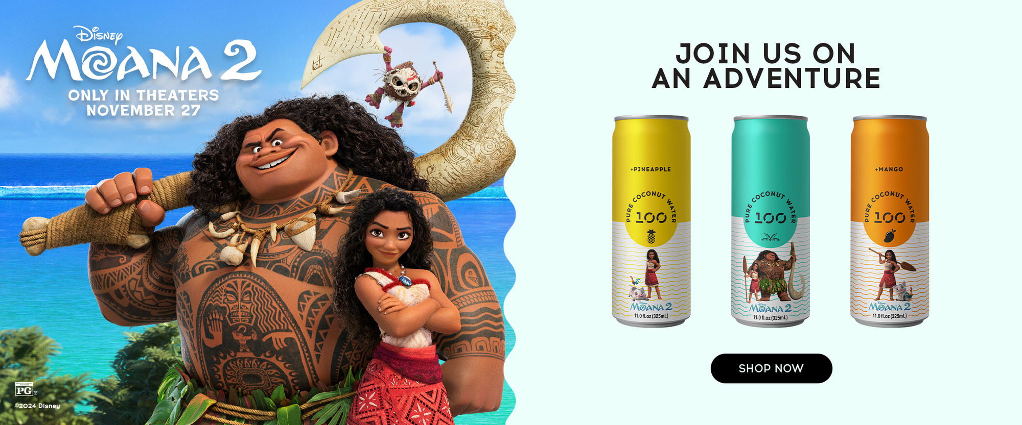 Pure & Natural Coconut Water | 100 Coconuts