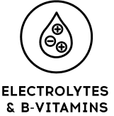 PURE COCONUT WATER 16.6oz – 100 Coconuts